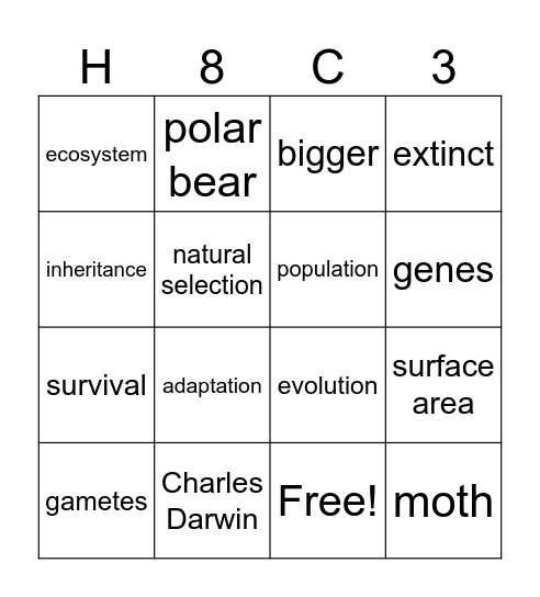 Bingo Selection Bingo Card