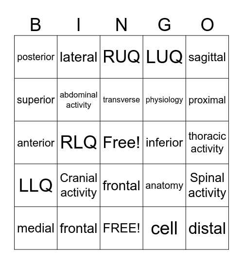 Anatomical Structures Bingo Card