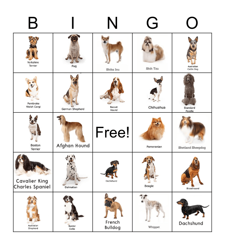 Dog Breed Bingo Card