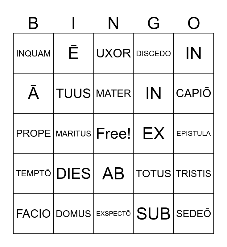 SUBURANI C6 VOCAB Bingo Card