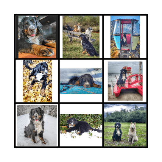 Walli-Bingo Card