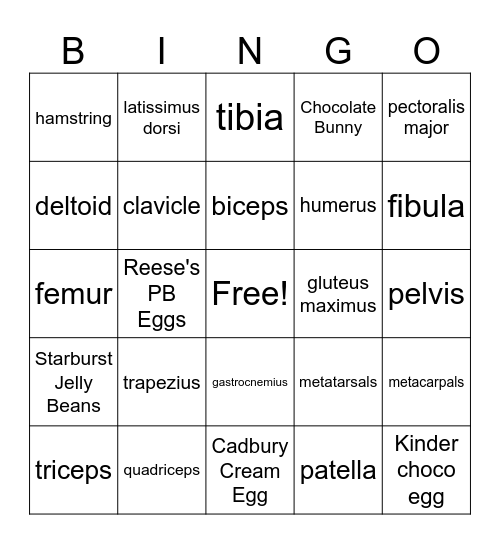 Muscles, Bones, Organs Bingo Card