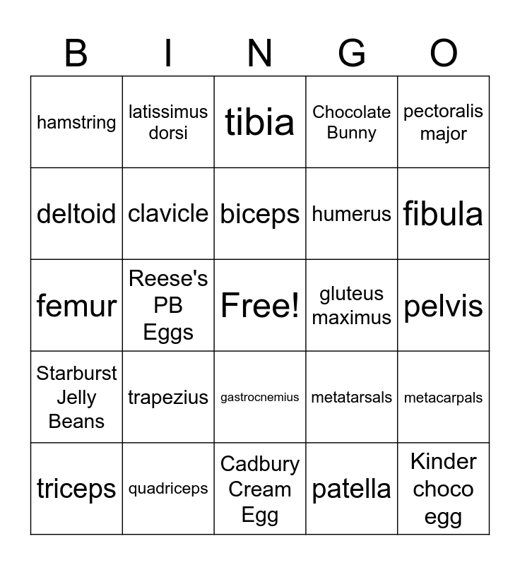 Muscles, Bones, Organs Bingo Card