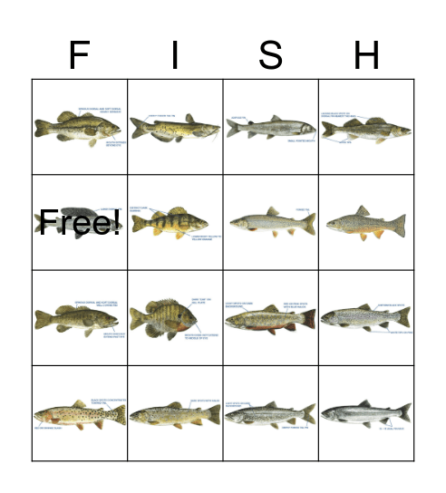 WYO Game Fish Bingo Card