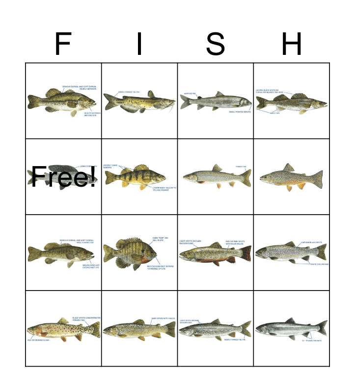 WYO Game Fish Bingo Card
