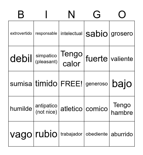 Spanish Adjectives/verb tener expressions Bingo Card
