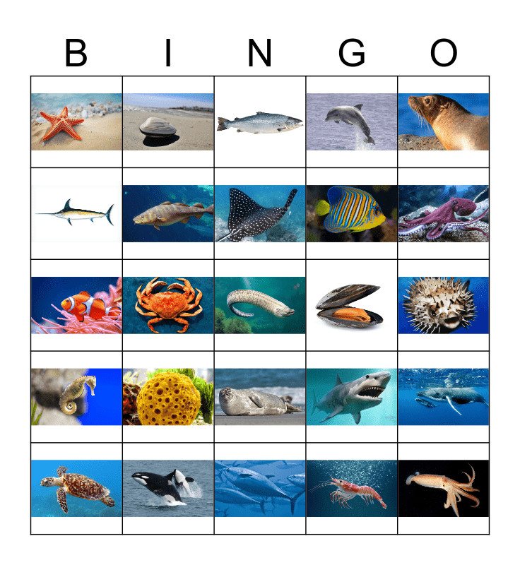 Sea Creatures BINGO Card