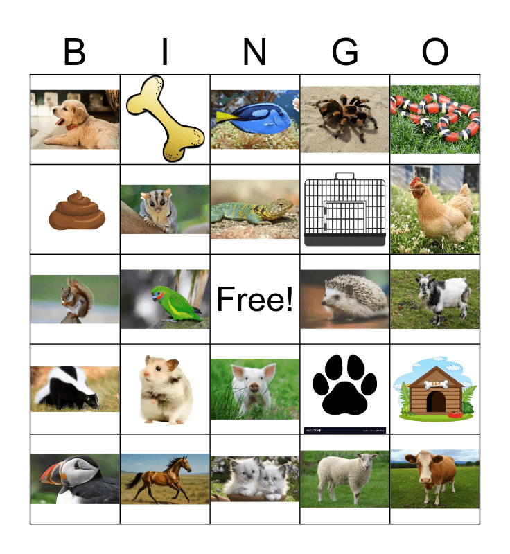 Pets Bingo Card