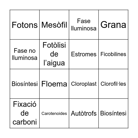 FOTOBINGO! Bingo Card