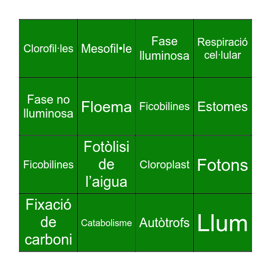 FOTOBINGO Card