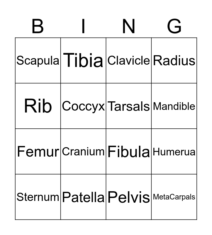 Skeletal System Bingo Card