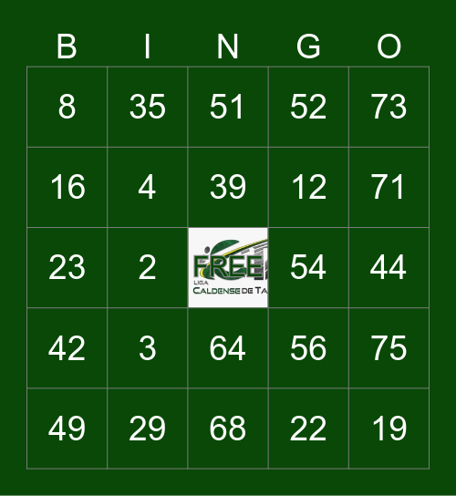 LIGA CALDENSE DE TAEKWONDO Bingo Card