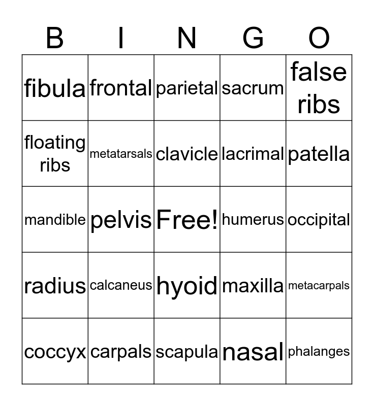 Bones Bingo Card