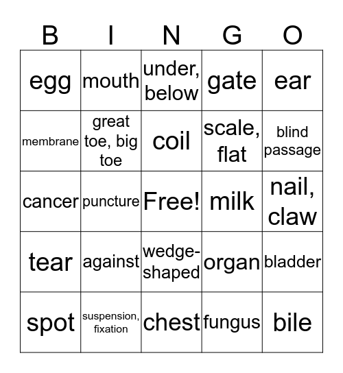 Lesson 5 Medical Terminology Bingo Card