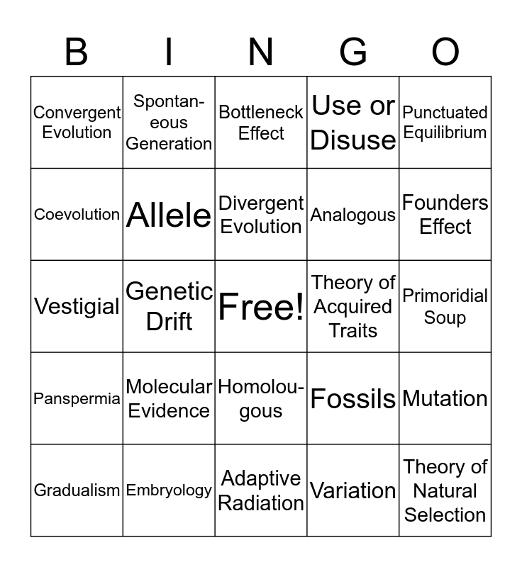 Evolution Bingo!!! Bingo Card