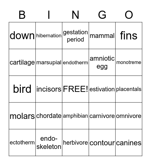 Vertebrate Animals Bingo Card