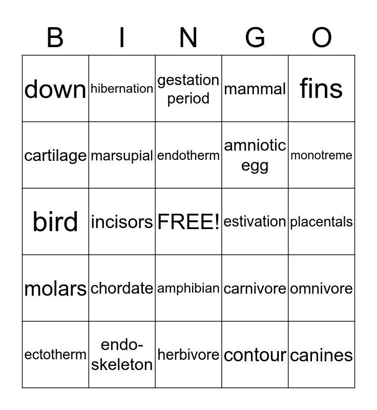 Vertebrate Animals Bingo Card
