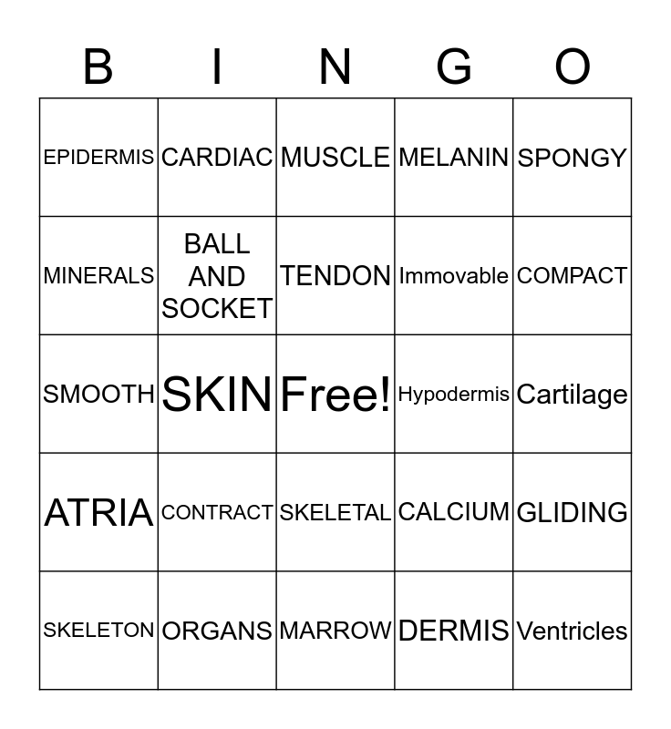 Skeletal, Muscular, & Integumentary Bingo Card