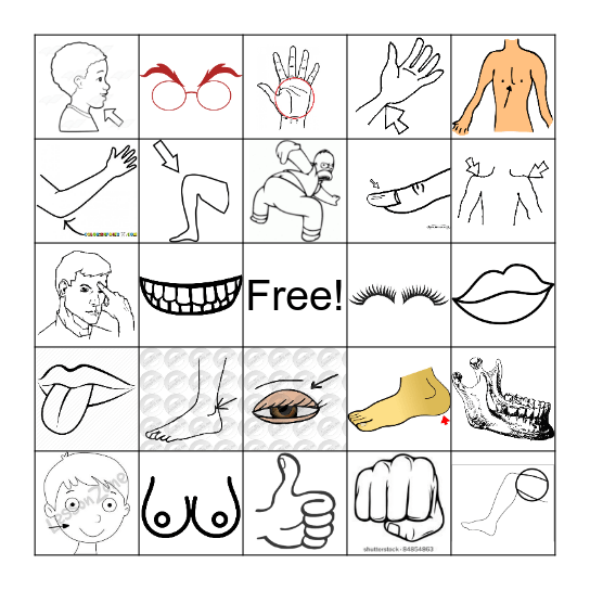 Body Parts Bingo Card
