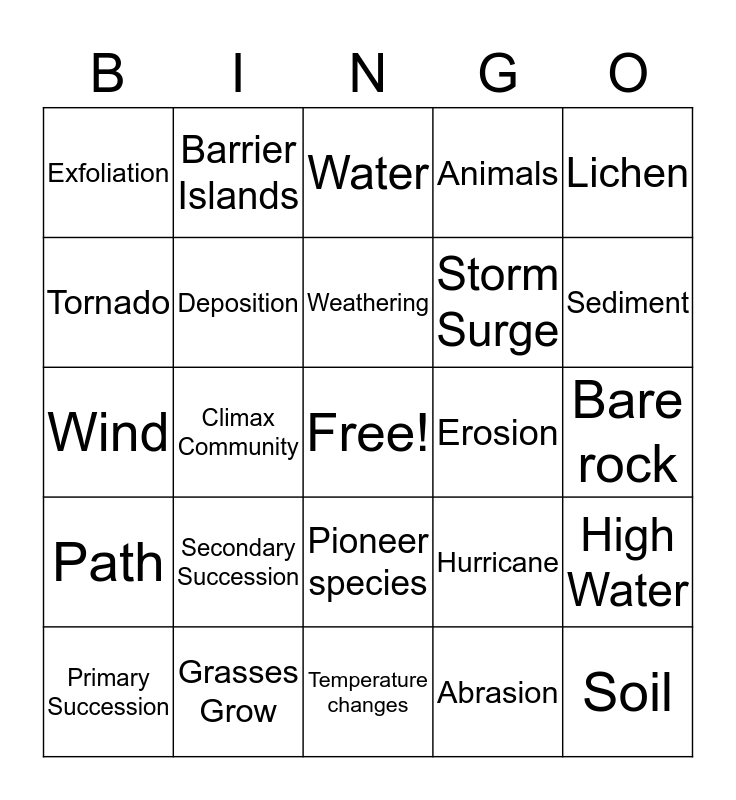 EOY Review Bingo # 3 Bingo Card