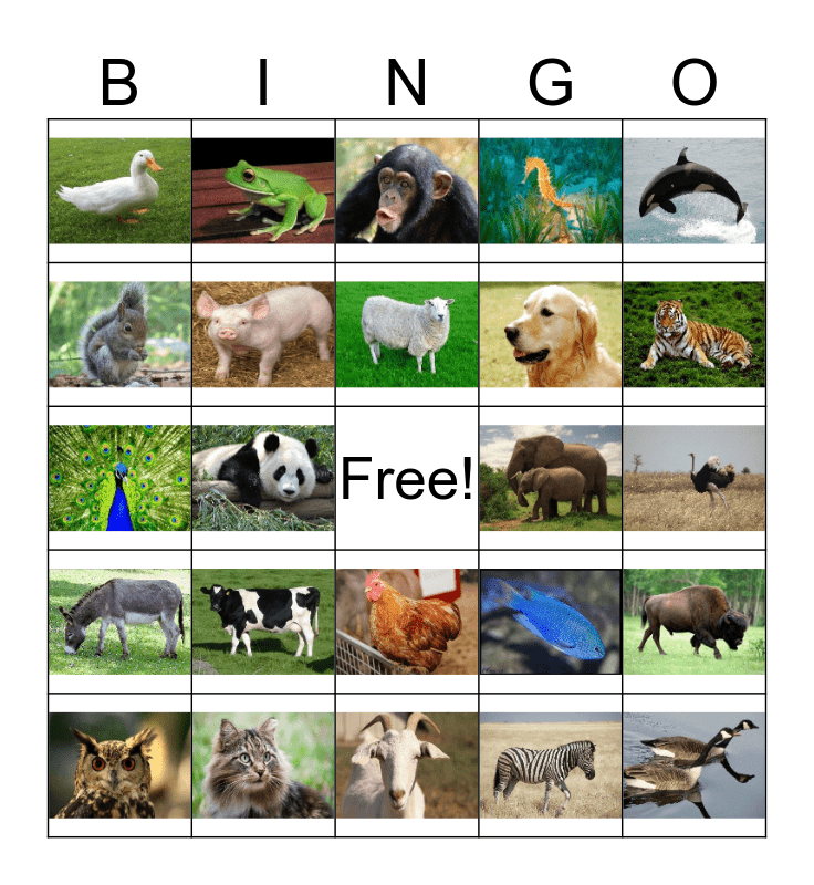 Animales Bingo Card