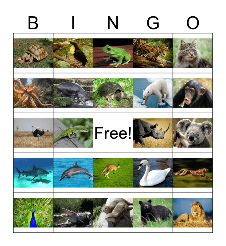 Animales Bingo Card