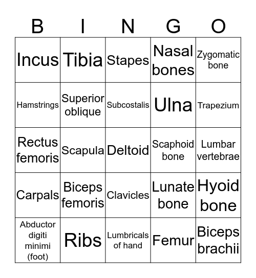 Bones and Muscles Bingo Card
