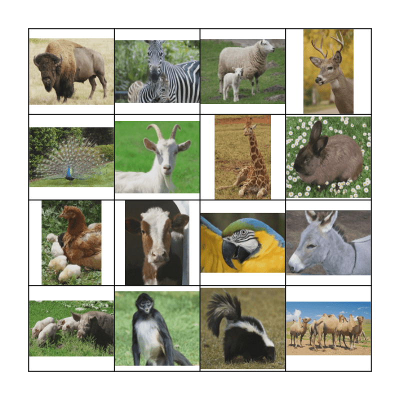 ZOO ANIMALS Bingo Card - fundraisingnest.com