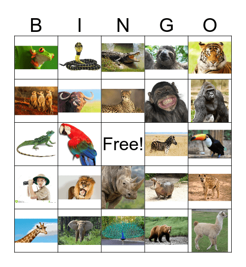 Animal Safari Bingo Card