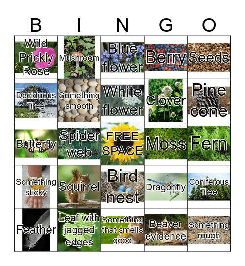Nature Bingo Card
