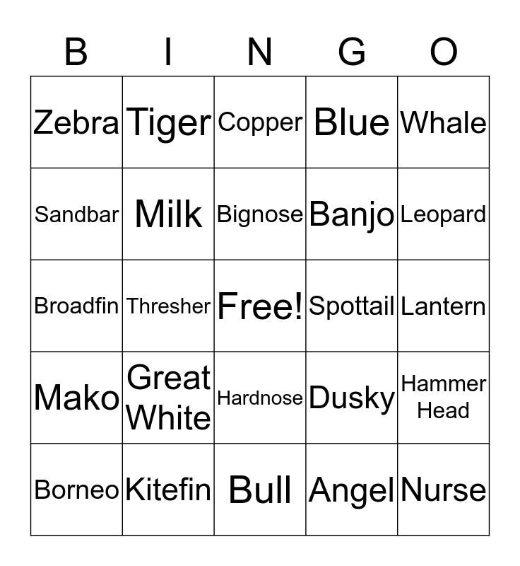 Shark Week! Bingo Card