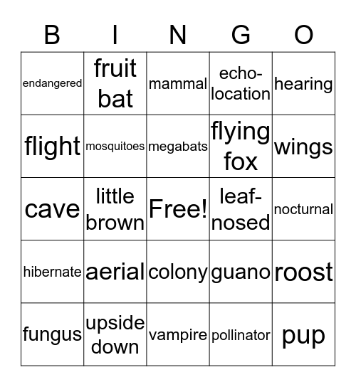 BATS! Bingo Card