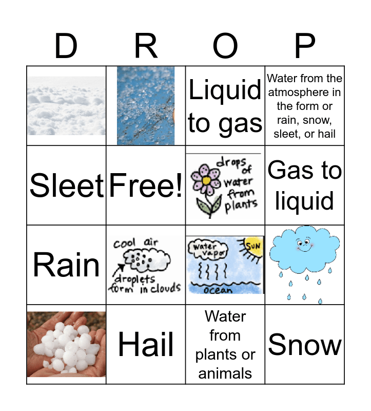 Water Cycle Bingo Card