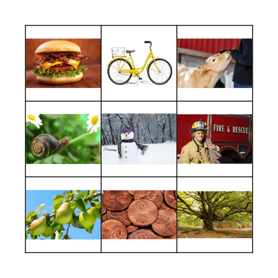 Living or Nonliving? Bingo Card