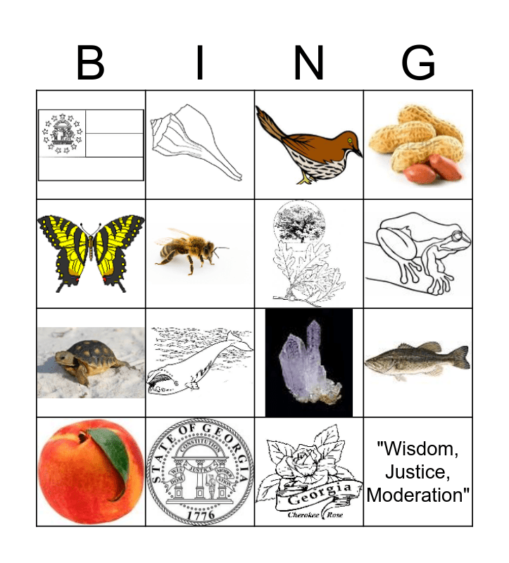 Georgia State Symbols Bingo Card