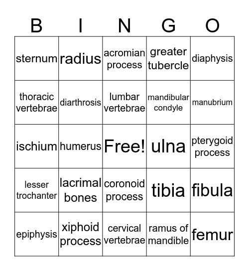 Skeletal System Bingo Card