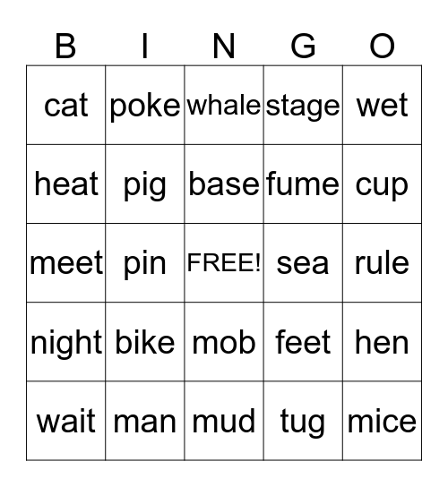 Long and Short Vowel Words Bingo Card