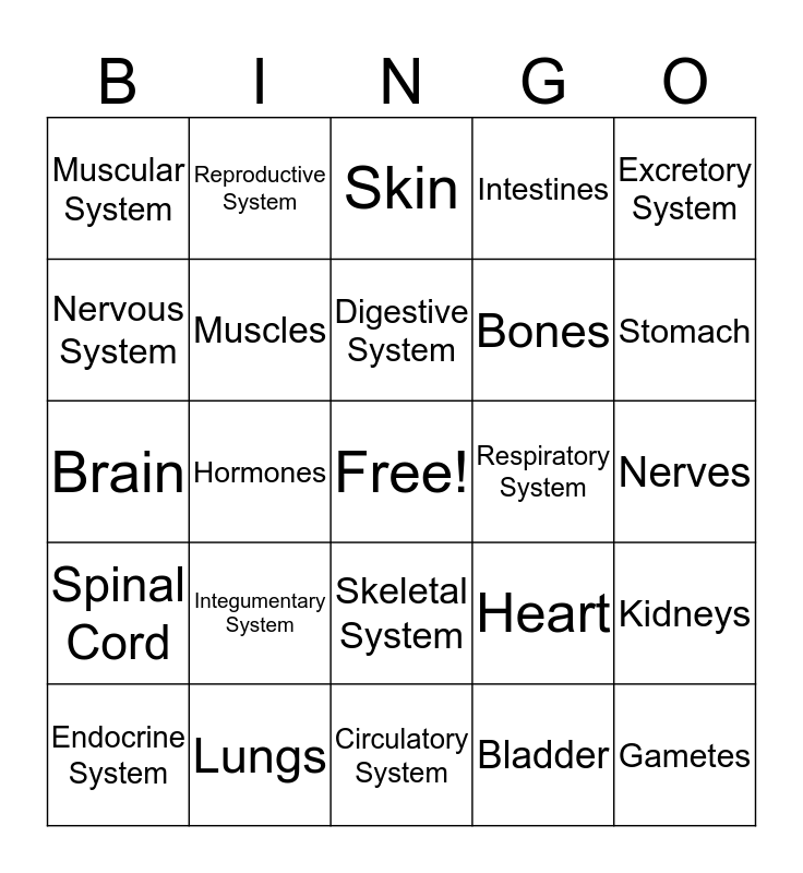 Body Systems Bingo Card