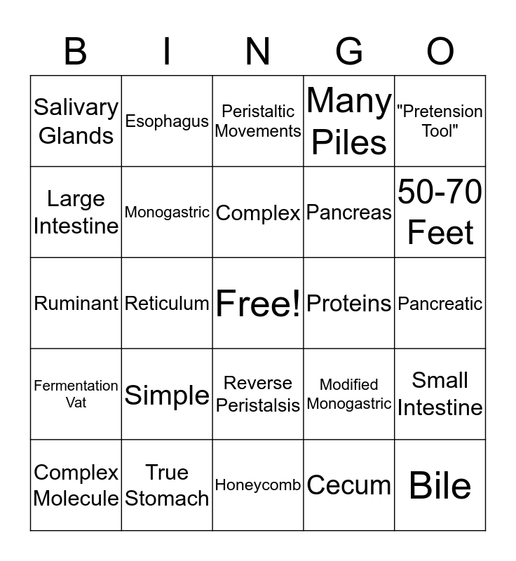 DIGESTIVE SYSTEM Bingo Card