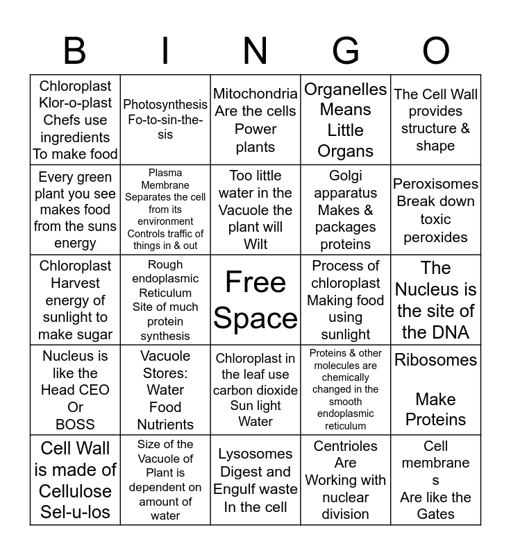 Plant Botany Bingo Card