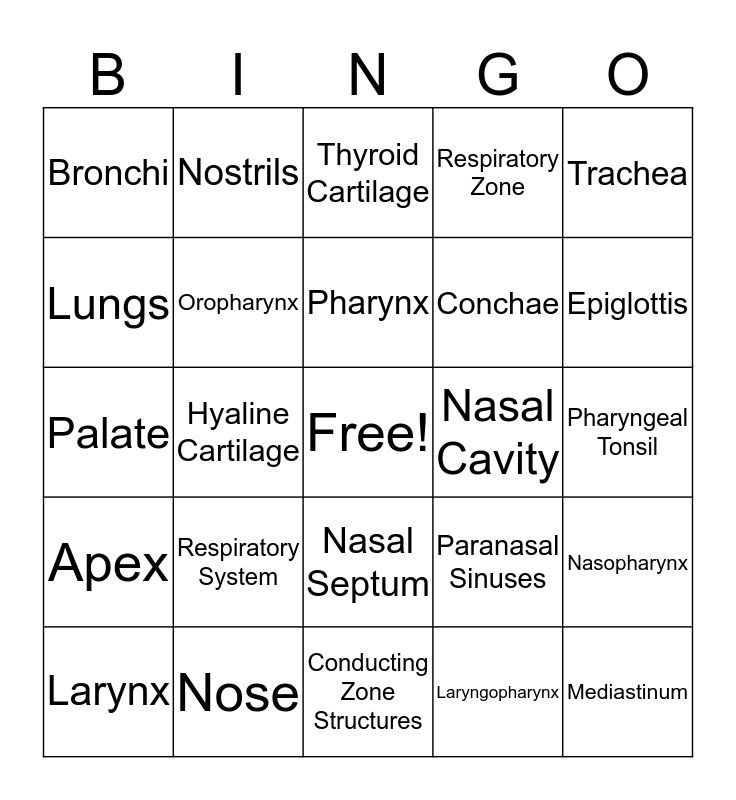 Respiratory System Bingo Card
