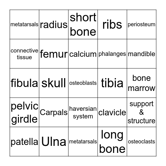 Skeletal System Bingo Card