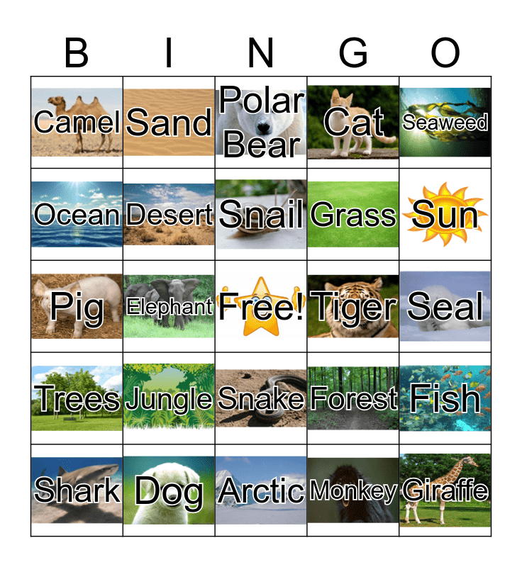 Animals & Habitats Bingo Card