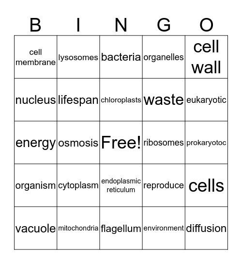 Study of Cells Bingo Card
