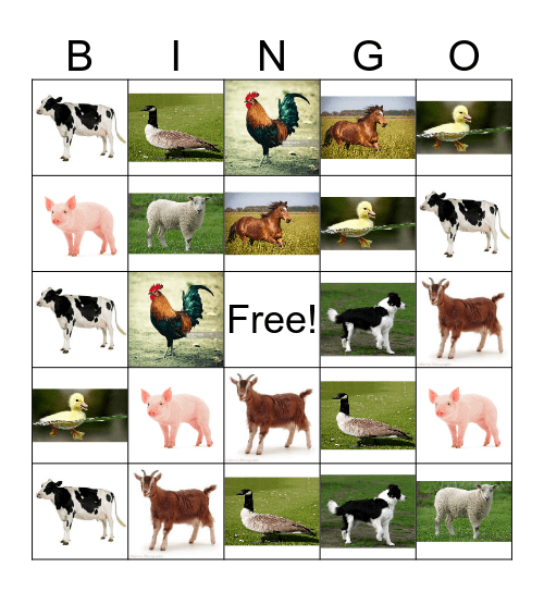 Farm Animals Bingo Card