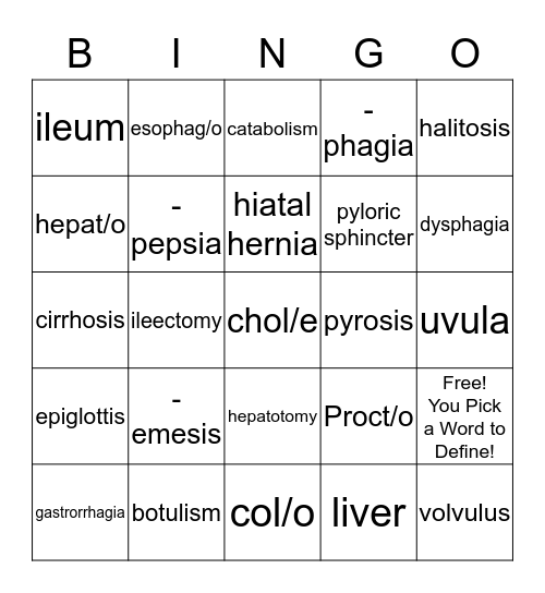 Chapter 8: The Digestive System Bingo Card