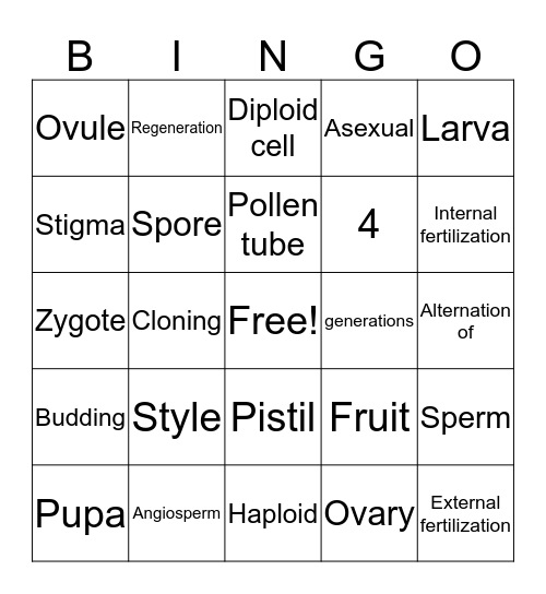 Reproduction Bingo Card