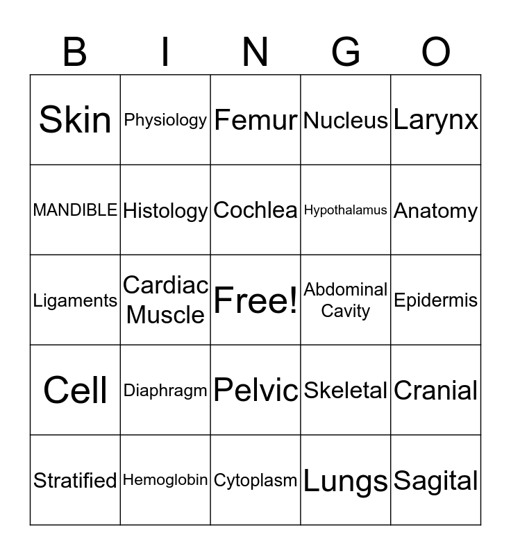 Chapter 2 Anatomy and Physiology Bingo Card