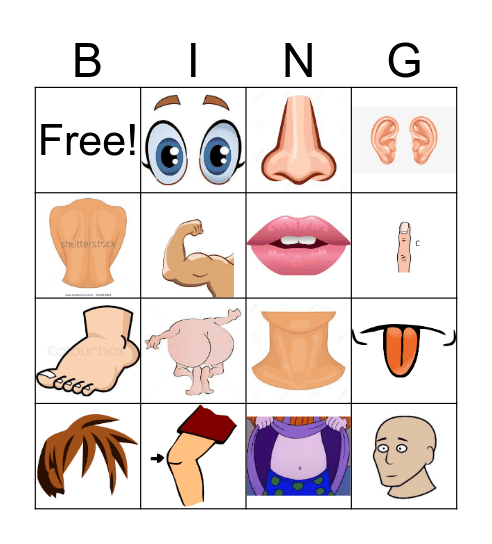 BODY parts Bingo Card