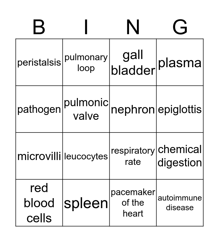 Anatomy & Physiology Bingo Card
